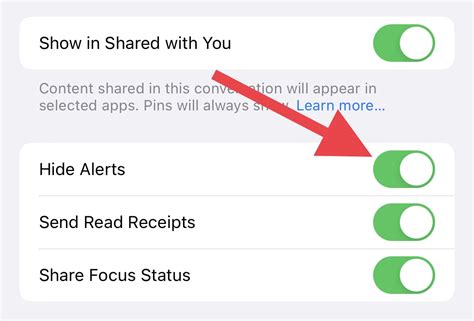 What Does Hide Alerts Mean How To Enable It In IMessage On IPhone MEFMobile