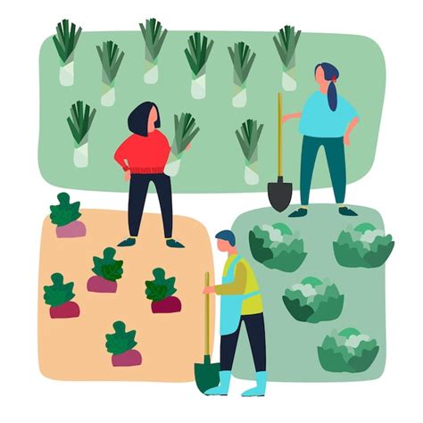 Premium Vector Men And Women Doing Agricultural Works On Vegetable