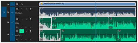 solved can t link multiple audio files to a single video adobe