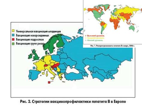 Противовирусные препараты и механизм их действия. Вакцины против ...