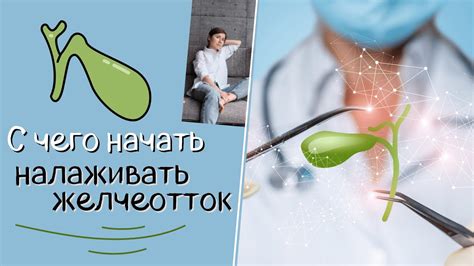 С чего начать налаживать желчеотток? Чем могут быть опасны желчегонные ...