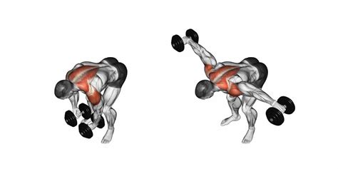 Voador Invertido Com Halteres Braincp