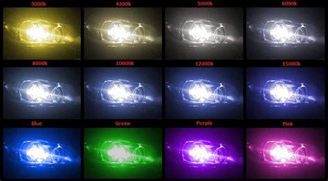 Xenon Headlights Chart Headlight Market Size Share Trends Analysis