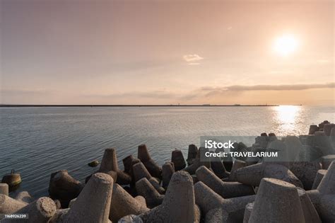 바닷물에서 테트라 포드 방파제 폭풍 바다 파도 날씨와 긴 해안 드리프트의 영향에서 해안 구조를 보호하기위한 콘크리트 Tetrapodes와 아름다운 일몰 바다 풍경 0명에