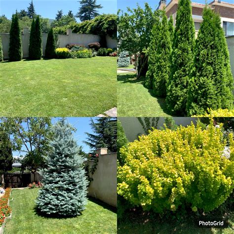 თემურ 🟡 ეს გულთბილა და თვალსაამო ბაღი ზუსტად 8 წლისაა 🟡 ბაღის