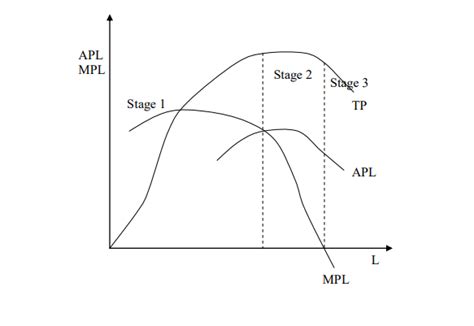 Production Function MASOMO MSINGI PUBLISHERS
