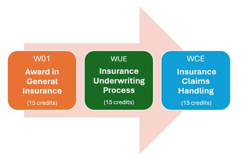 Certificate In Insurance Cert Cii ™ From The Chartered Insurance Institute Risc Institute