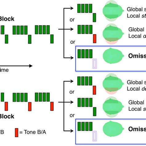 Dynamic Causal Models A Locations Of The Cortical Dipoles In The Dcms