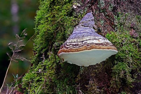 틴더에서 성공적인 매칭을 위한 4가지 팁 알아보자 Dramatico