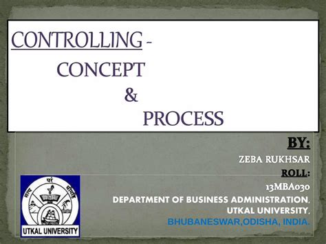 pdf controlling management functions organisation structure and process
