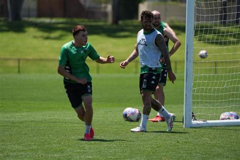 Grimaldi Growing In Confidence Northern