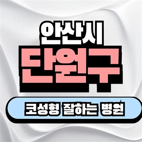 안산시 단원구 코 성형외과 잘하는 병원 추천 및 가격 비교 매부리코 코끝 콧끝 넓은 코 등 Loyal It