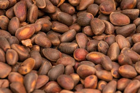 Uncleaned Pine Nuts In A Brown Shell Lie Mixed Up Stock Photo Image Of Color Nature 117194494
