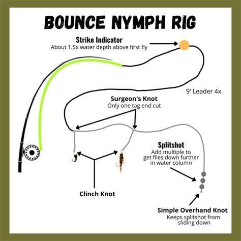 A Drop Shot Tandem Nymph Rig Artofit