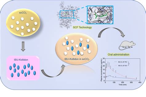 Applying Supercritical Fluid Technology To Prepare Ibuprofen Solid