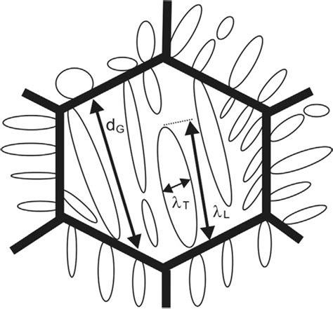 Schematic Diagram Of The Fully Lamellar Microstructure Of Download Scientific Diagram