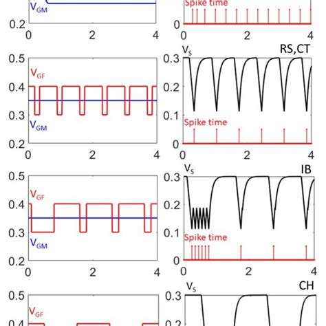 Spiking Patterns Of Cortical Neuron The Left Column Plots The Download Scientific Diagram