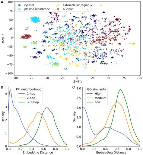 Visualization Of Unsupervised Gene Embeddings A Tsne Projections Of Download Scientific