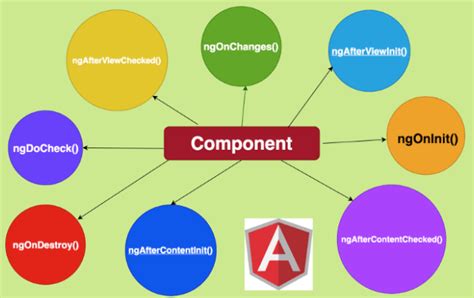 Ciclos De Vida No Angular