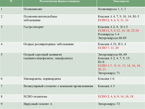 Вирус Echo презентация онлайн