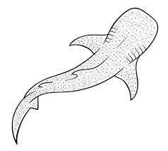 A Cardboard Whale Shark 8 Steps Instructables