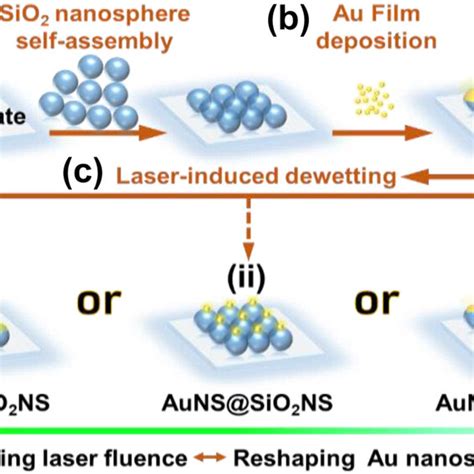 Schematic Diagram Of The Hierarchical Plasmonicphotonic Nanostructure
