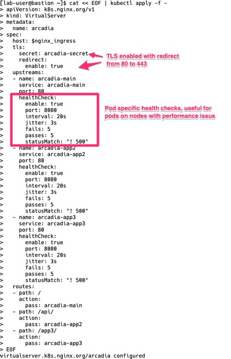 4 NGINX Kubernetes Ingress Controller Examples NGINX Ingress