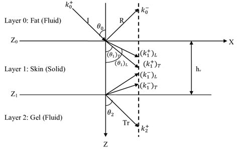 1 A Representation Of The Multilayered Structure Download Scientific Diagram