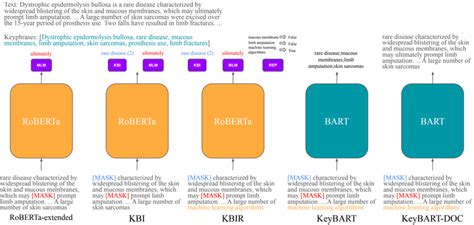 Pre Training Strategies The Keyphrase Present In The Text Are Download Scientific Diagram