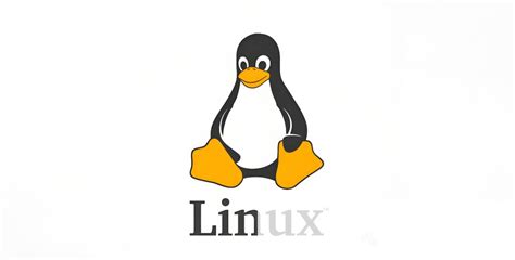 10个运维技巧助你起飞，（非常详细）从零基础到精通，收藏这篇就够了！linux运维经验 Csdn博客