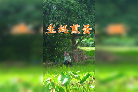 老人说蜻蜓低飞要下雨才种一会地就下起暴雨晚上做生蚝煎蛋 美食 才种 暴雨 蜻蜓