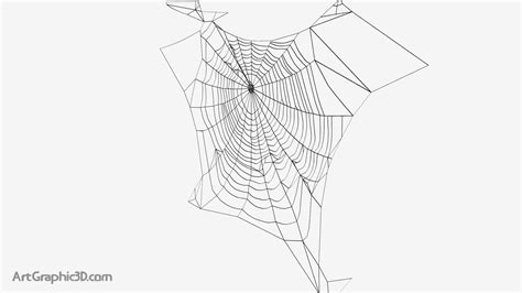 3d Spider Web Model Download
