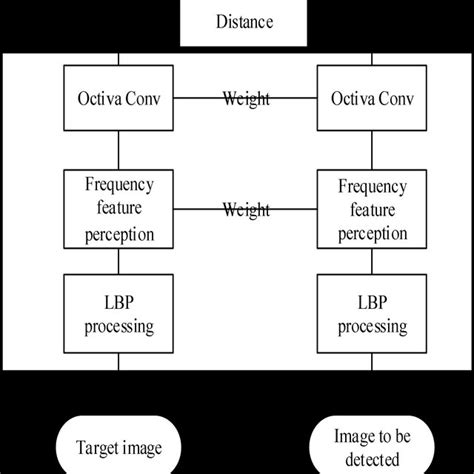 The Flow Of The Sn Lf Algorithm Download Scientific Diagram