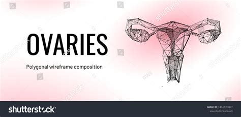 Vektor Stok Female Uterus Ovaries Abstract Scientific Background Tanpa