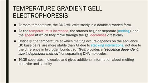 Gradient Gel Electrophoresis And Pulse Field Gel Electrophoresis Pptx