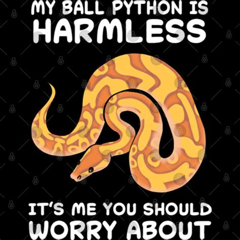 My Ball Python Is Harmless Snake Reptile 3 Bibs Sold By Autrano10431450