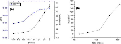 Bioluminescence Detection From P Fluoresecens M3a Strain A Download Scientific Diagram
