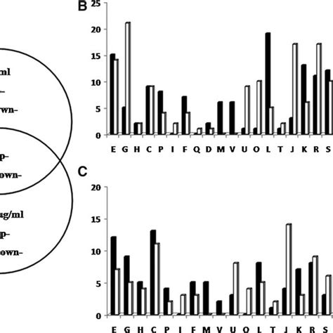 Differentially Regulated Genes Grouped By Functional Classification