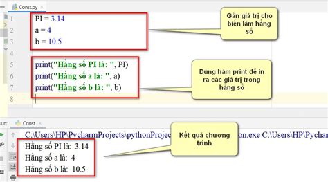 Hằng Trong Python Cách Sử Dụng Ứng Dụng và Những Lưu Ý Quan Trọng