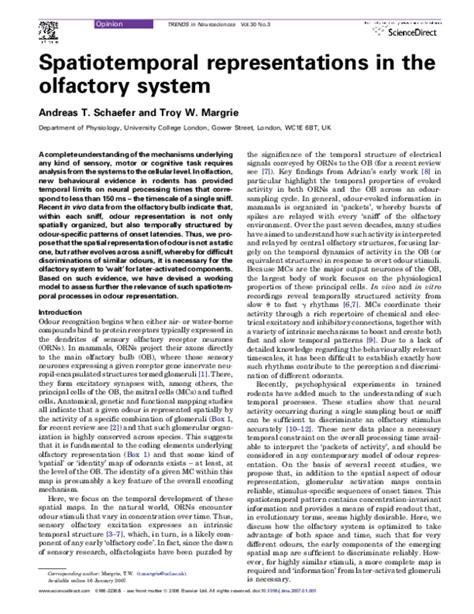 Pdf Spatiotemporal Representations In The Olfactory System