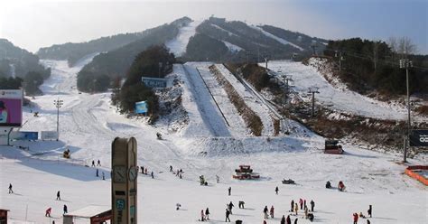 웰리힐리 스키장 개장