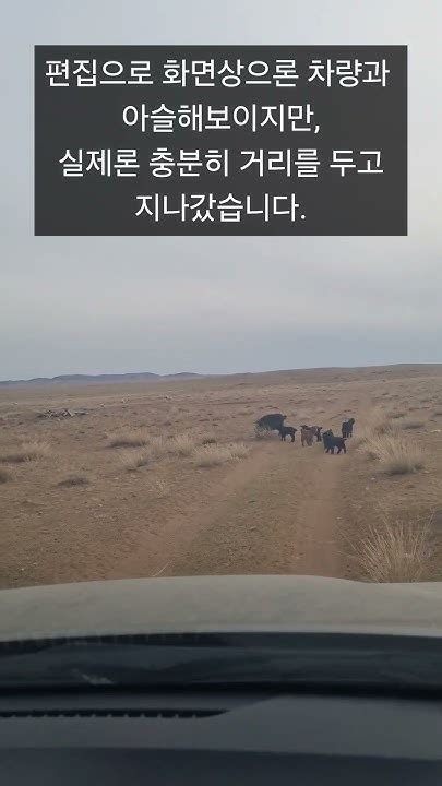 몽골 비포장 도로에서 볼수있는 것들 Youtube
