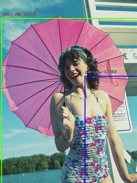 Object Detection With Retinanet Keras Retinanet Weights And Biases