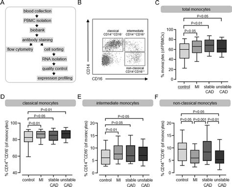 Analysis Of Monocyte Subpopulations In Patients With Different Stages Download Scientific