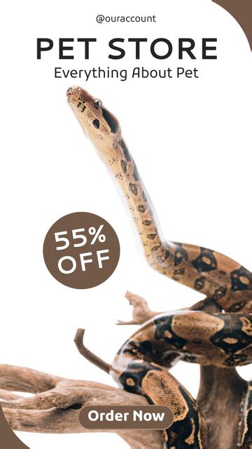 Pet Store Ad With Python Online Instagram Story Template Vistacreate