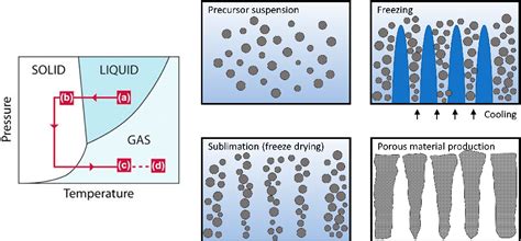 Figure 2 From Ice Templated Method To Promote Electrochemical Energy