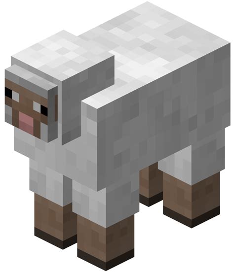 Minecraft Png Owca
