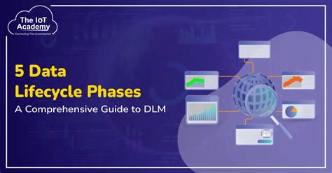 Data Lifecycle Phases A Comprehensive Guide To DLM