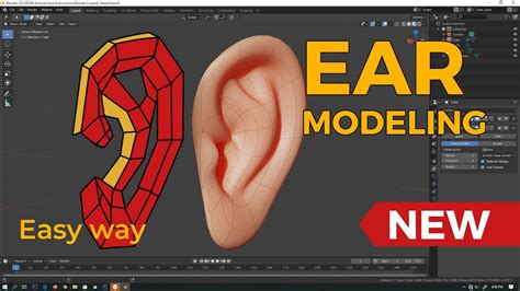 Modeling A Ear In Blender Youtube