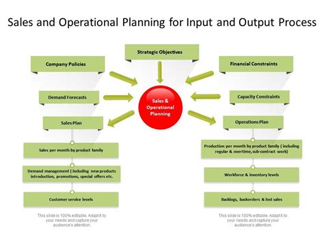 Sales And Operational Planning For Input And Output Process